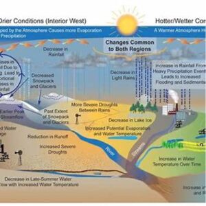 Water Bodies: Importance and Need for Their Preservation - Amulya Charan